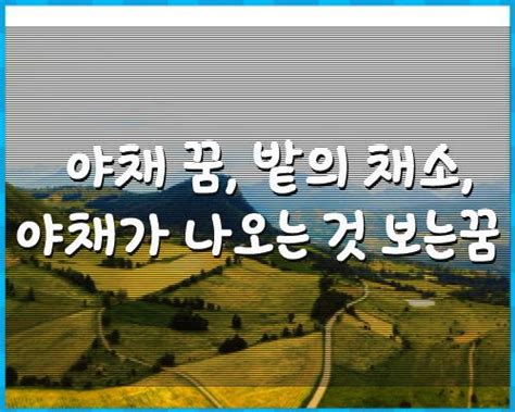 야채 꿈 밭의 채소 야채가 나오는 것 보는꿈