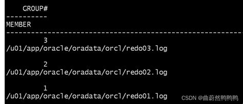 Oracle 联机重做日志文件的布置移动，多路复用添加联机重做日志文件reuse Csdn博客
