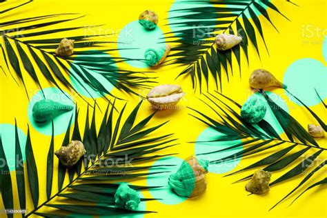 야자수 잎 조개와 플랫 레이 여행자 액세서리 평면도 여행 또는 휴가 개념입니다 강렬하고 밝은 색상에 대한 스톡 사진 및 기타 이미지 강렬하고 밝은 색상 개념 개념과