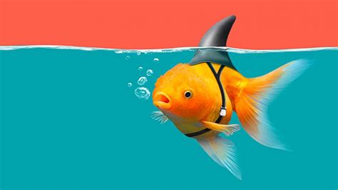 Venafi A Cyberark Company On Linkedin Cybersecurity Infosec Cybercrime