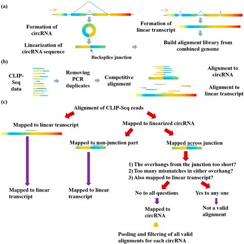 Large Scale Profiling Of Rbp Circrna Interactions From Public Clip Seq