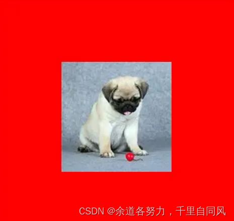 Css Background Css Csdn
