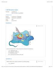 Cell Structure Quiz Cell Structure Quiz 9 28 16 3 41 PM Cell Structure Quiz Schedule