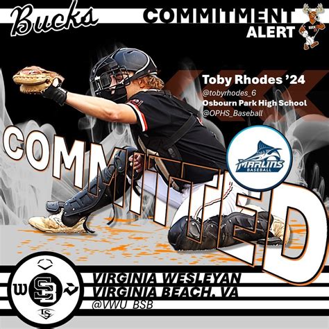 Snyder Baseball And Softball