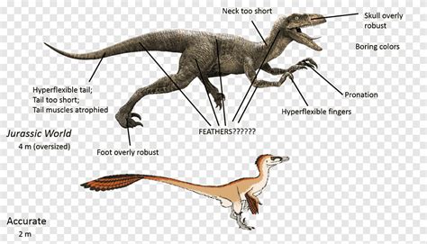 Utahraptor Jurassic World Alive Wiki Fandom