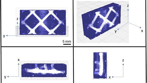 Bio Inspired Design Learning From Nature To Build For The Future Rtf Rethinking The Future