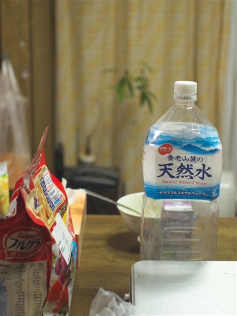 休石 やすみいし とうとう