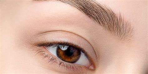 Sobrancelha Perfeita 10 Formas De Ter A Sobrancelha Perfeita