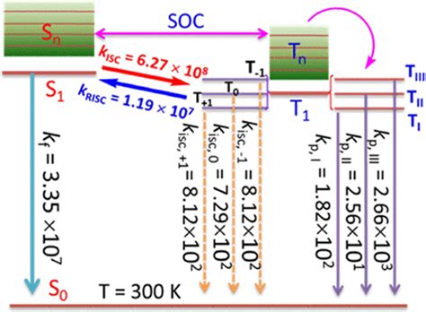 Intrinsic Analysis Of Thermally Activated Delayed Fluorescence TADF