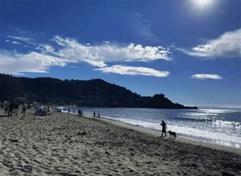 7 Things To Know About Living In Pacifica Ocean Blue Real Estate