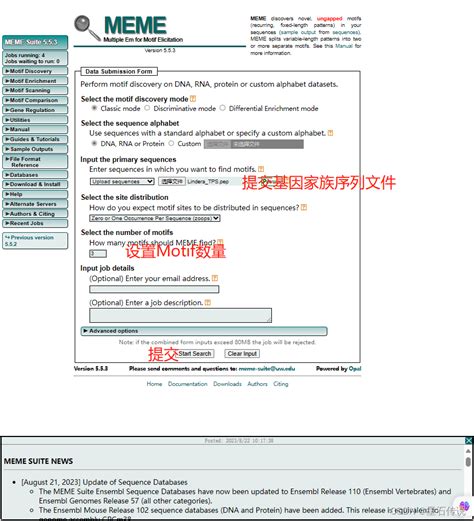 实验篇—— 基因家族motif 分析motif分析 Csdn博客