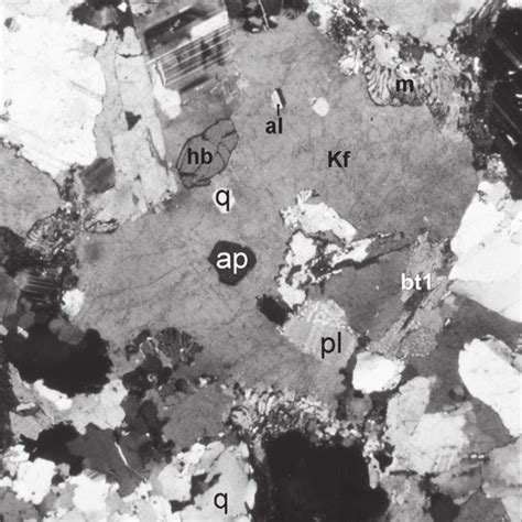 Subsolidus Metasomatic K Feldspar Grain With Myrmekitic Reaction Rim