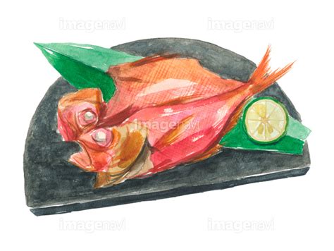 【金目鯛の干物】の画像素材31348463 イラスト素材ならイメージナビ