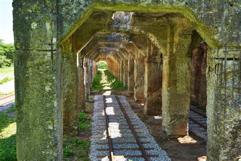 「vellappam」の画像 1 902 件の Stock 写真、ベクターおよびビデオ Adobe Stock