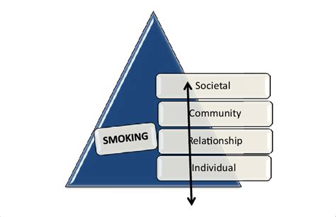 Sociological Model Adapted From The Framework For Prevention And
