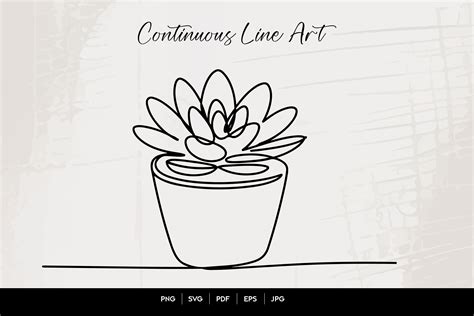 Succulent Line Art Drawing Graphic By Rsbrandingbd · Creative Fabrica