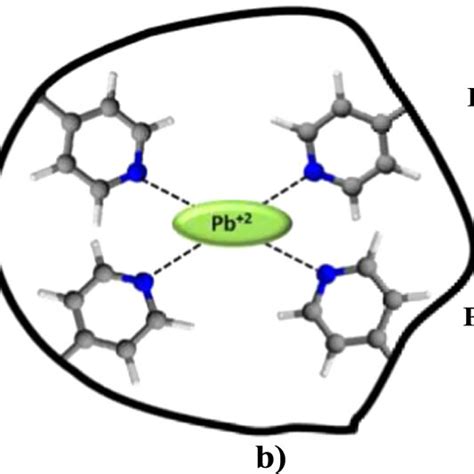 Representation Of The Iip Synthesis Download Scientific Diagram