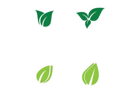 Leaf Logo Vector Template Graphic By Abi Pandu · Creative Fabrica