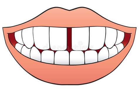 Teeth Gap Cartoon Stock Illustrations 125 Teeth Gap Cartoon Stock