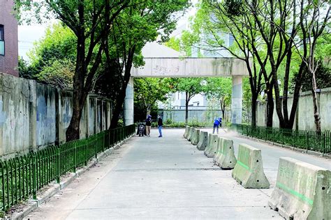 九亭无名小路垃圾堆积问题获解决 松江报
