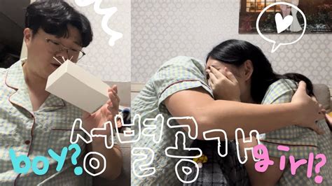 임산부vlog 아들일까🌶딸일까🍑성별대공개 ️ ️성별공개파티양가부모님반응성별공개브이로그 Youtube