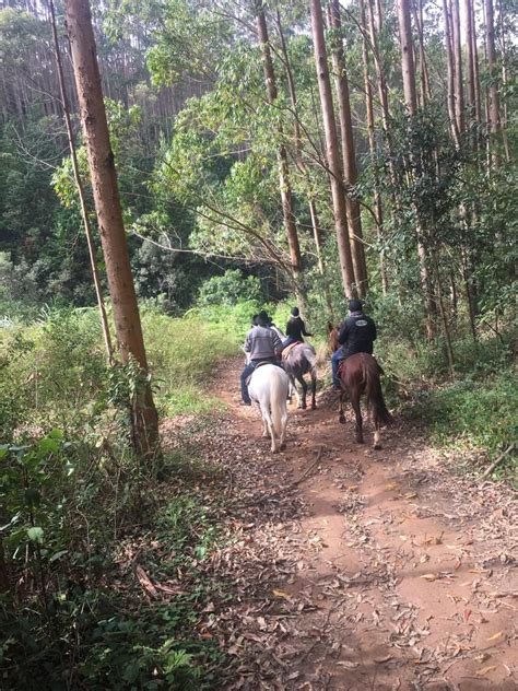 Passeio A Cavalo Fazenda Radical