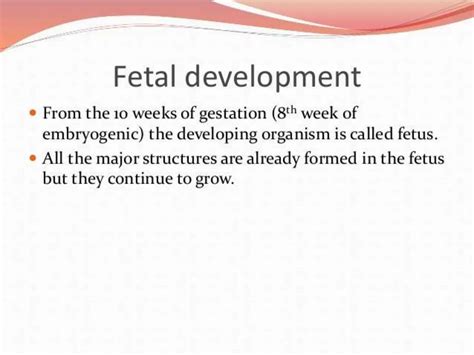 Embryology And Fetal Growth Deveent Ppt Lopmpptx