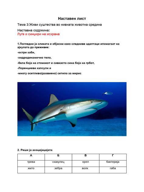 наставен лист Pdf