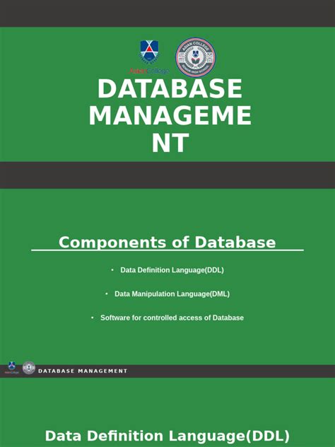 Dataman Lesson 2 Pdf Databases Computer File