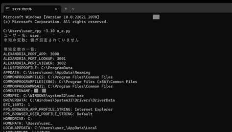Pythonでos environを使用し環境変数の値を取得し表示する Men of Lettersメンオブレターズ 論理的思考 業務改善 プログラミング