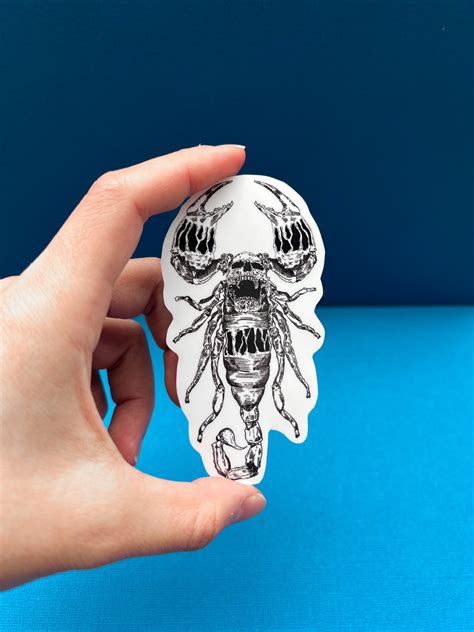 Scorpio Vinyl Sticker Zodiac Stickers Etsy