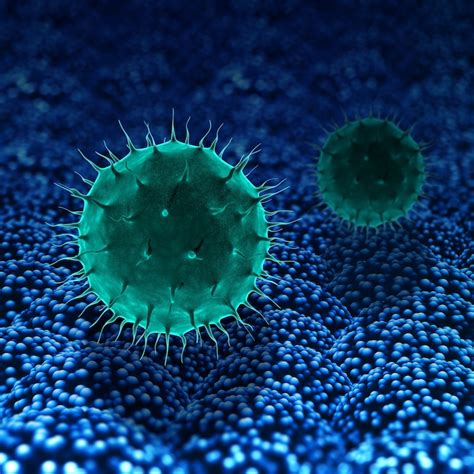 면역 이미지 Freepik에서 무료 다운로드