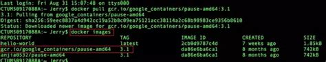 Docker Request Canceleddocker