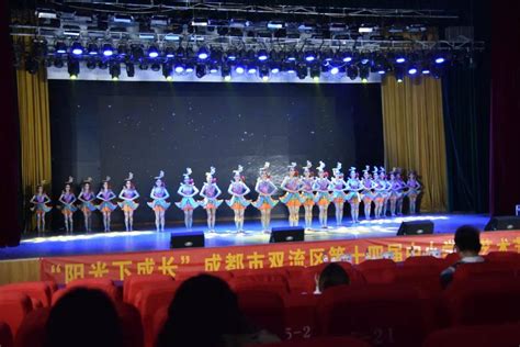 棠外飞鹰艺术团舞蹈团获双流区一等奖指导成都市艺术节