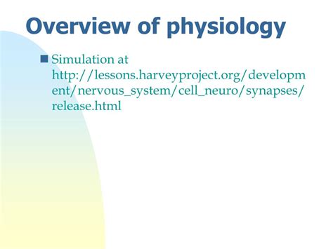 Ppt Synaptic Transmission Powerpoint Presentation Free Download Id