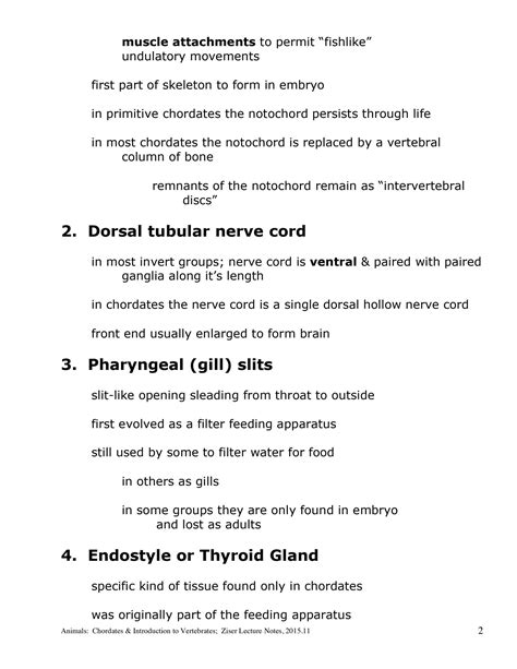 Solution Phylum Chordata Studypool
