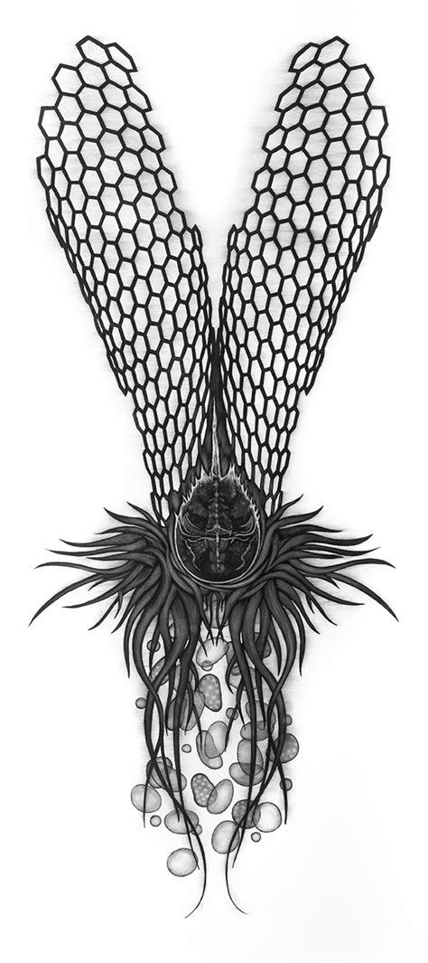 Genus Category Kevinoehler