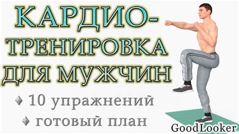 кардио упражнения для сжигания жира мужчинам в домашних условиях