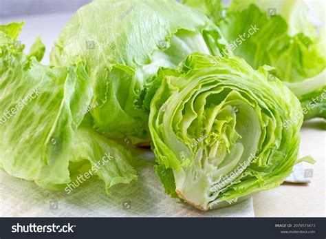 Cropsppptt Object Detection Dataset And Pre Trained Model By Crop Spt