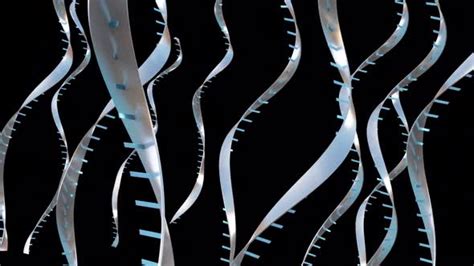 Dna Rna Animation Motion Graphics Videohive