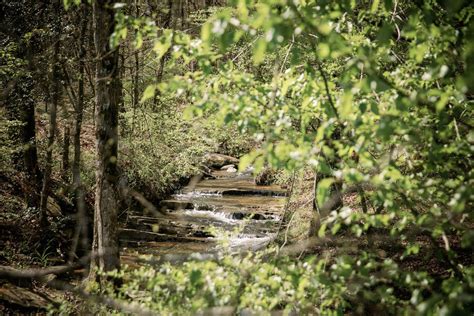 Burns Bluff At High Falls Barn Farm Weddings Albertville Al