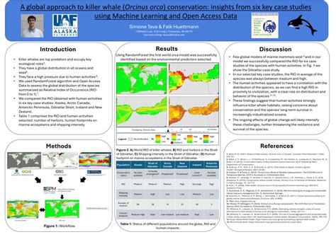 Pdf A Global Approach To Killer Whale Orcinus Orca Conservation