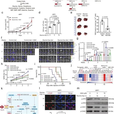 Classification Of Headache According To Ichd 3 Download Scientific