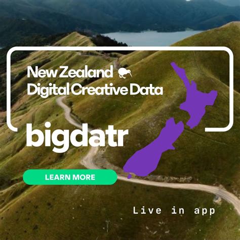 Bigdatr On Linkedin Nzdata Adtracking Digitalmarketing