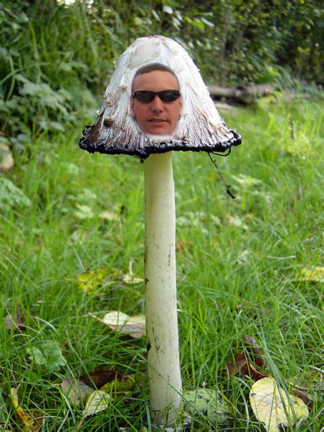 Shroomhead By Roaddoag On Deviantart
