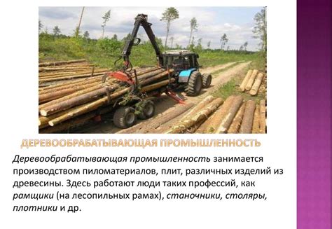 Лесная и деревообрабатывающая промышленность. Заготовка древесины ...