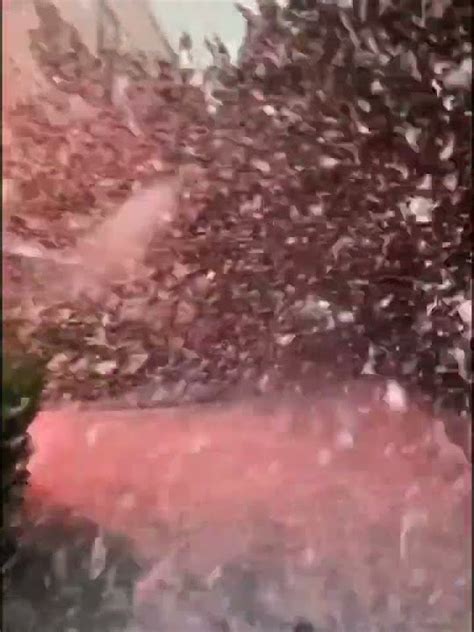 遇到浪漫的 樱花雨搜 ，当然要分享给你喜欢的人呀！ 樱花 艾特你想艾特的人 Youtube
