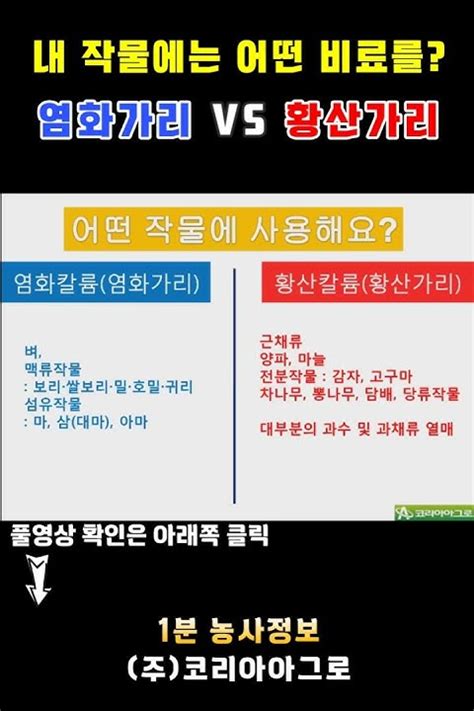 염화가리 황산가리 내 작물에는 무엇을 사용할까 Youtube