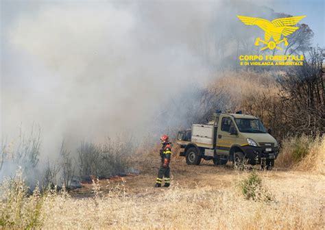 Sardegna Riepilogo Giornaliero Incendi Tredici I Roghi Divampati