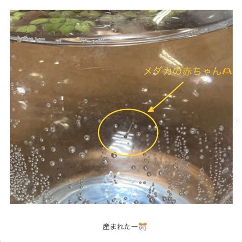 産まれたー 北陸車研工業